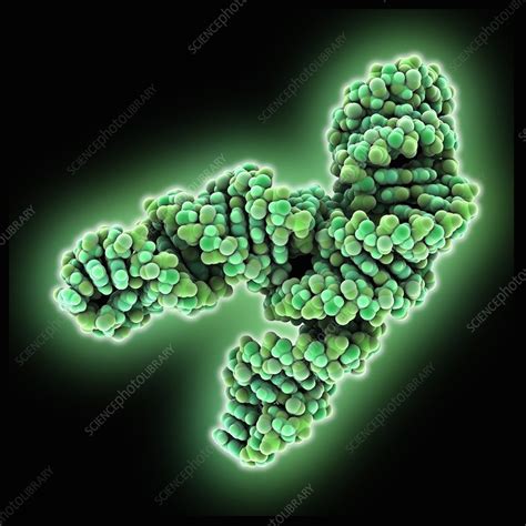 Sars Cov 2 Rna Genome Element Illustration Stock Image C0496925