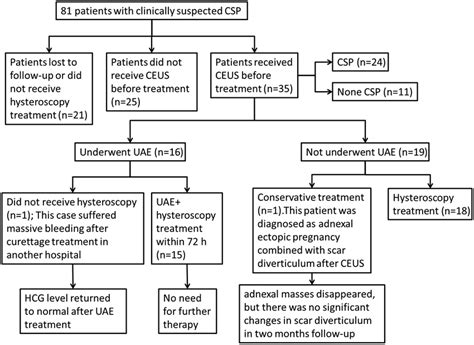 Flowchart Of The Study Participants Csp Cesarean Scar Pregnancy