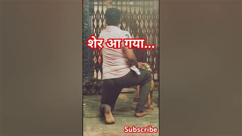Ma Sera Valiye Tera Sher Aagya Dance Trending Shorts Short