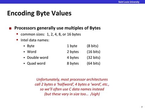 Ppt Data Representation In Memory Csci 224 Ece 317 Computer Architecture Powerpoint