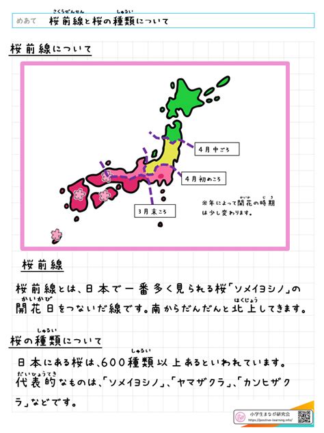 理科の自主学習ノート桜前線さくらぜんせんと桜の種類しゅるいについて小学生まなび研究会