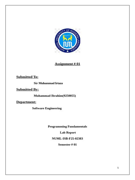 Programming Fundamentals Lab Reportyglu Pdf Parameter Computer
