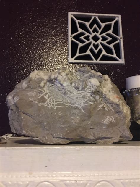 Recrystallization Fossil