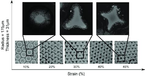 Non Axisymmetric Snapping Structures Formed By Higher Order Crumpling