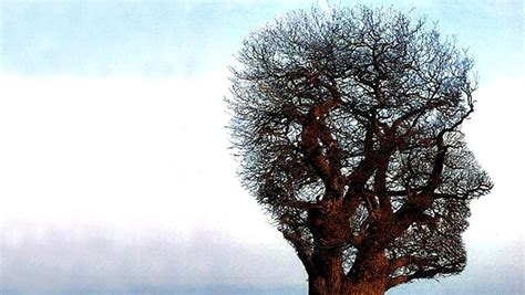 Frontend Development With Docker A Simplified Guide By Gábor Soós Javascript In Plain English