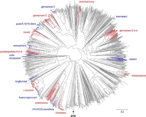 Phylogenetic Tree Of 1247 Terpene Synthase Homologues From Ascomycete Download Scientific