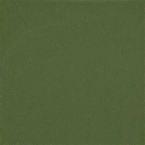 Green Aesthetic Solid Color Background