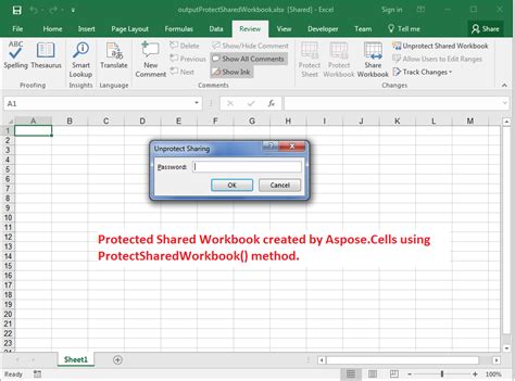 Password Protect Or Unprotect The Shared Workbookdocumentation
