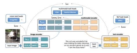 人工智能 Pytorch 新库 Torchmultimodal 使用说明：将多模态通用模型 Flava 扩展到 100 亿参数 超神经