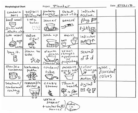 Morphological Chart Ponasa