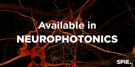 Eyad Mohammad On Linkedin Cerebrovascular Impedance Estimation With Near Infrared And Diffuse…