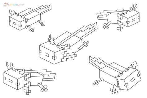 Axolotl Minecraft Coloring Pages