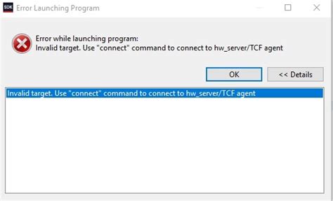 Error While Launching Program Invalid Target