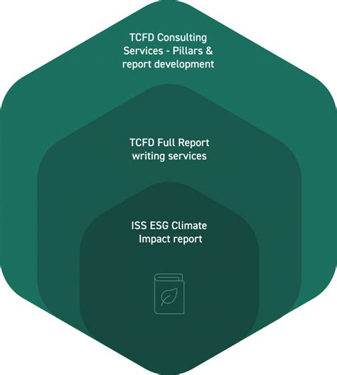 Tcfd Infographic Iss
