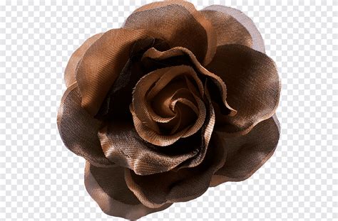 초콜릿 초콜릿 갈색 꽃 Png Pngegg