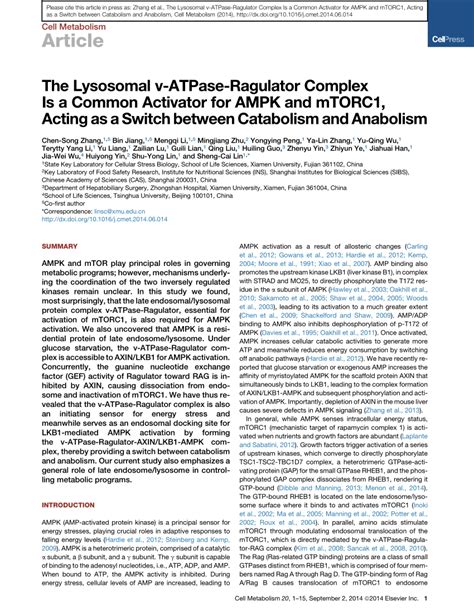Pdf The Lysosomal V Atpase Ragulator Complex Is A Common Activator