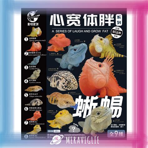 【mm小舖】『預購』 9月 動物星球 心寬體胖系列第十六彈 蜥蜴 爬蟲類 鬣蜥 石龍子 公仔 模型 全81款 蝦皮購物