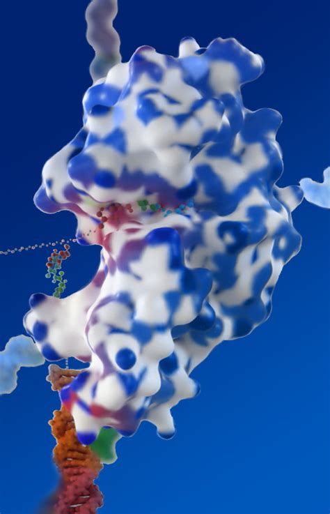 Hitgen Dna Encoded Library