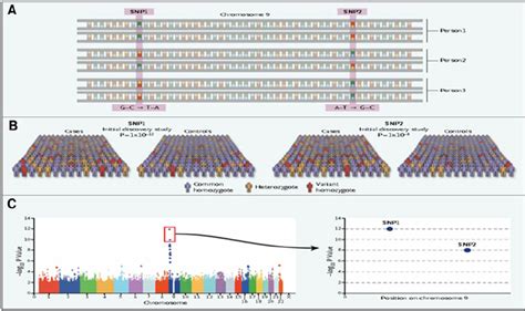 Bioinformatics As A Valuable Tool For Processing Of Large Data Values Download Scientific