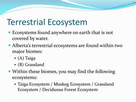 Ppt Terrestrial And Aquatic Ecosystems Powerpoint Presentation Id2001456