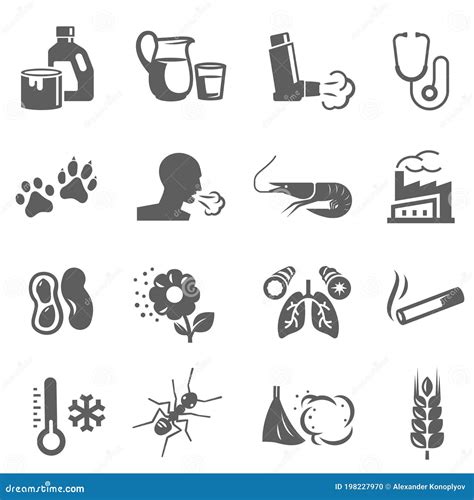 Asthma And Allergies Bold Black Silhouette Icons Set Isolated On White
