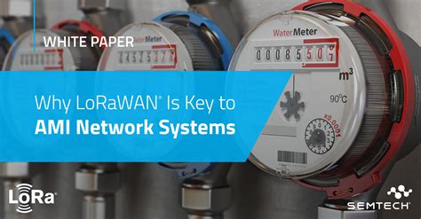 Why Lorawan Is Key To Ami Network Systems White Paper