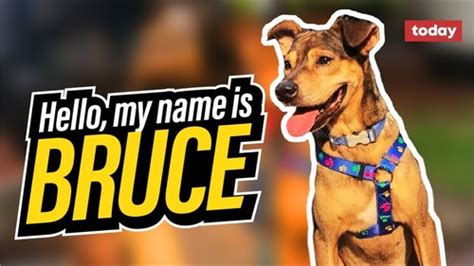 Boc Exam Microbiology Practice Questions Flashcards Quizlet