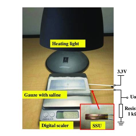 Devices Used For Resistance Variation Measurement Of The Ssu Download Scientific Diagram