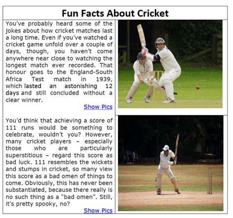 Practical File Computer Applications Class 10 Comprehensive Guide