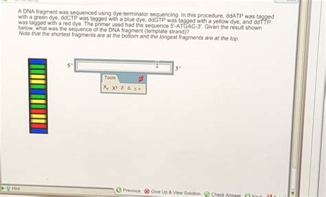 Solved A Dna Fragment Was Sequenced Using Dye Terminator