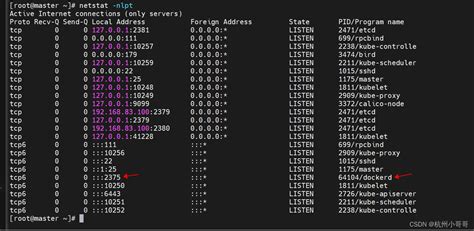 Idea连接docker Docker Orgapachehcclient5hostconnectexception Connection Refused