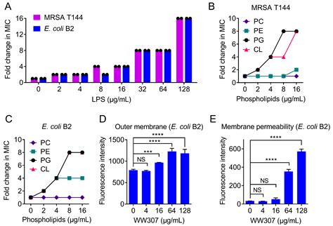 Amphipathic Peptide Antibiotics With Potent Activity Against Multidrug Resistant Pathogens
