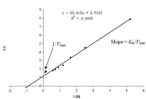 Lineweaver Burk Plot For Determination Of Kinetic Constants Against