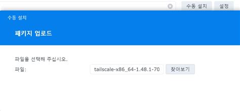 시놀로지 헤놀로지에 Tailscale 클라이언트 설치하기 달소씨의 하루