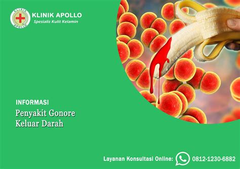 Penyakit Gonore Keluar Darah Mengapa Bisa Terjadi Klinik Apollo Jakarta