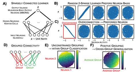 Understanding Connectivity Via Inductive Bias A We Model The Fly Download Scientific Diagram