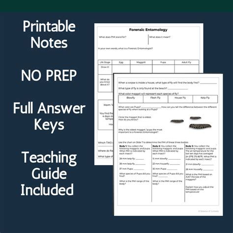 Free Forensic Entomology Worksheet Download Free Forensic Entomology Worksheet Png Images Free
