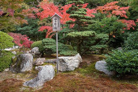 知恩院 方丈庭園京都府京都市東山区 庭園ガイド
