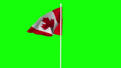 Canada Flag Waving In Wind With Pole 3d Rendering Chroma Key Luma Matte Black And White