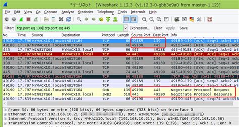 Tcpview Commands Plepanel