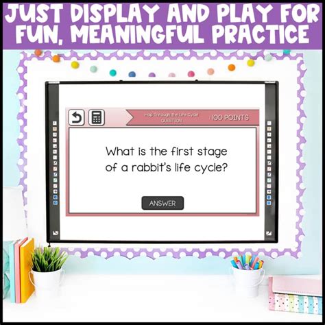 Life Cycle Of A Rabbit Science Game Show Review By That One Cheerful Classroom