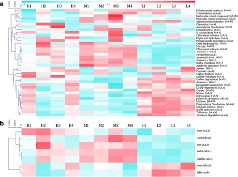 Comparison Of Microbial Taxonomic And Functional Shift Pattern Along Contamination Gradient