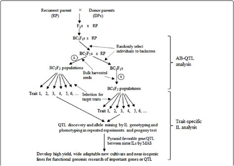 Population Improvement By Molecular Recurrent Selection Mrs Based On