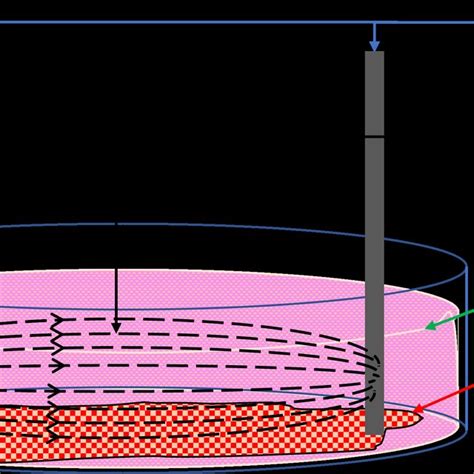 Electric Field Lines In Cell Culture [15] Download Scientific Diagram