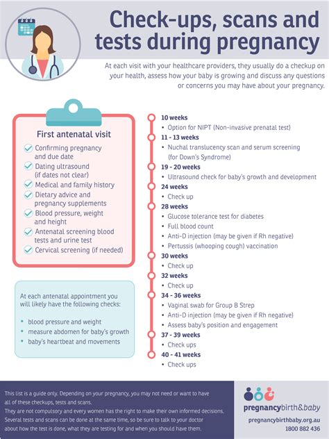Things To Know About Pregnancy