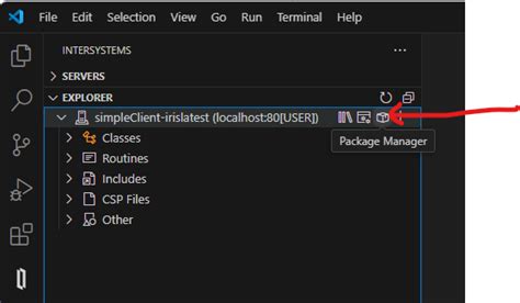 Ipm In Vs Code Now Works For Devs Who Target A Docker Container To Compile