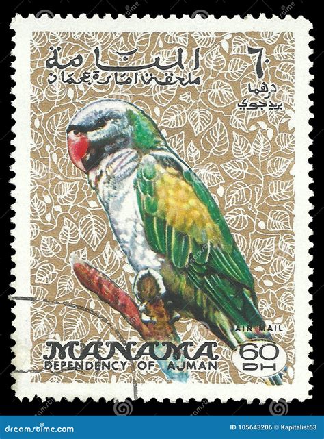 Fauna Series Birds Parrot Editorial Photo Image Of Multicolor