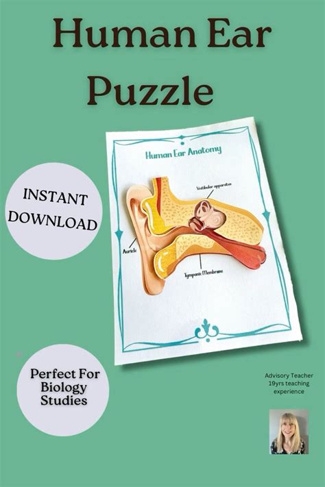 Story Pin Image