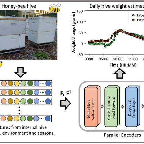 The Weight Of Hive With Sensor System Estimated For Days The Download Scientific
