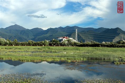 2024必须穿过小树林才能到达的湿地。拉鲁湿地位于拉萨市北郊，是海拔最高面积最大的天然城市湿地。深入湿地拉鲁湿地国家级自然保护区 评论 去哪儿攻略